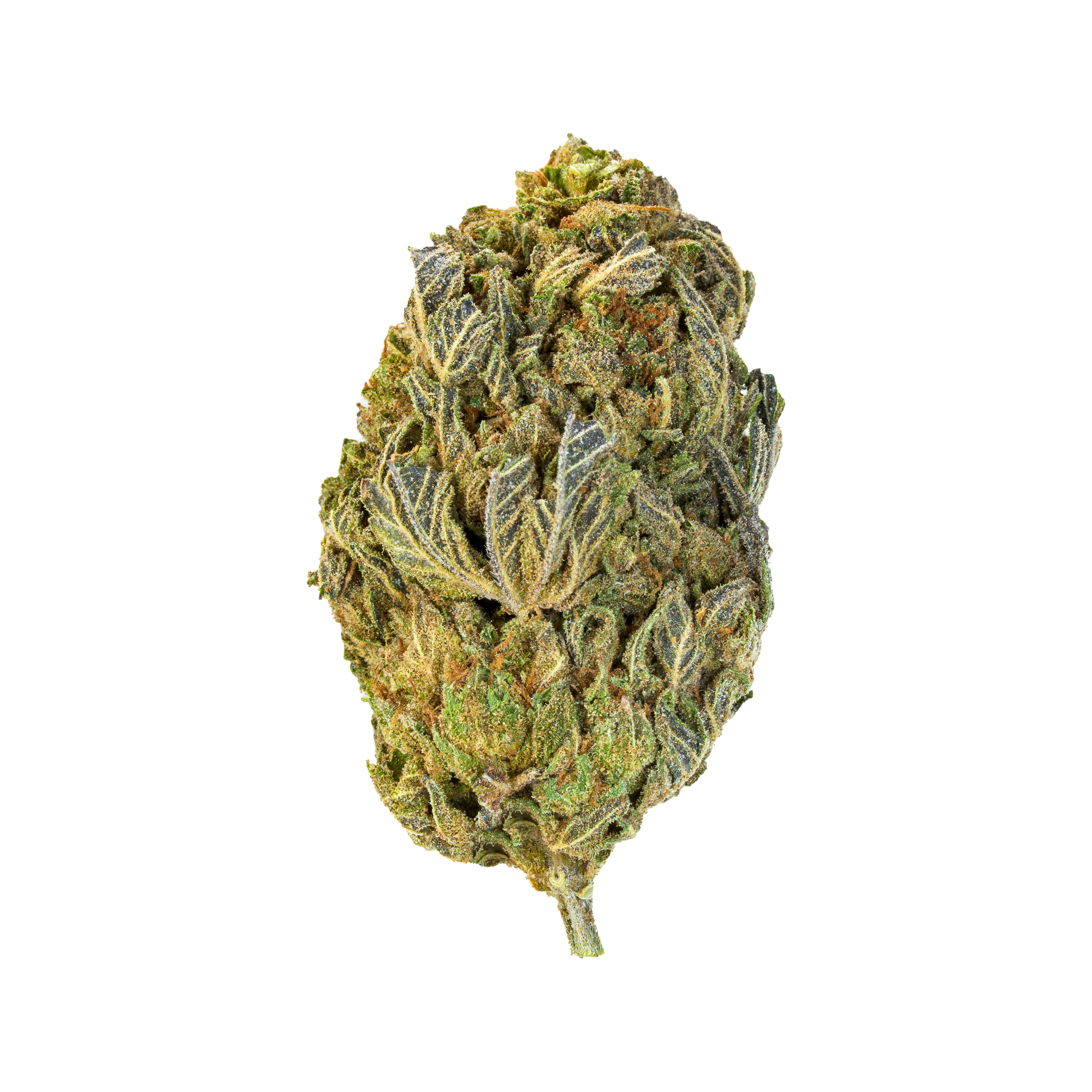 Grape Mambaz – Elevate LA