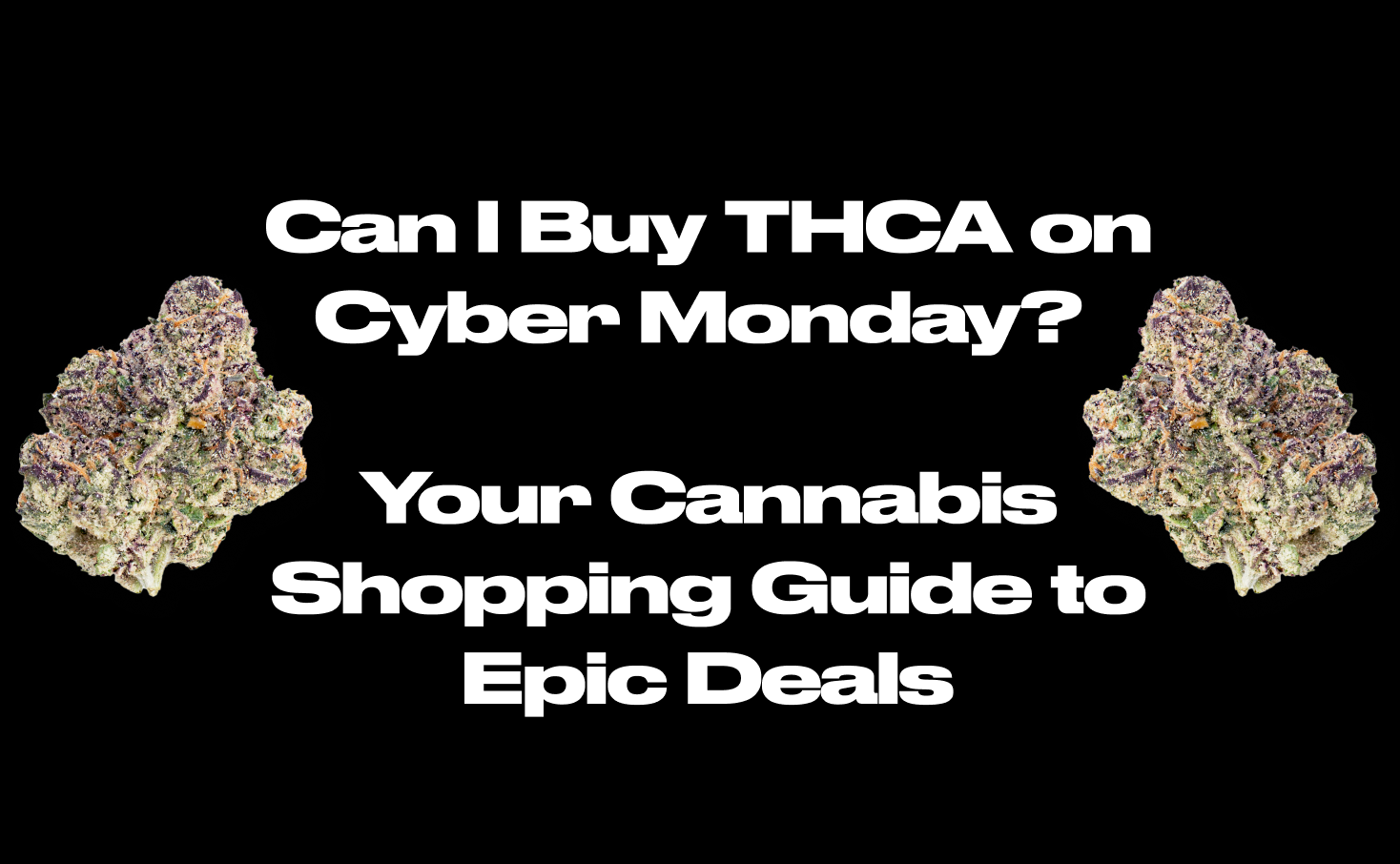 Can I Buy THCA on Cyber Monday? Your Cannabis Shopping Guide to Epic D – Elevate LA