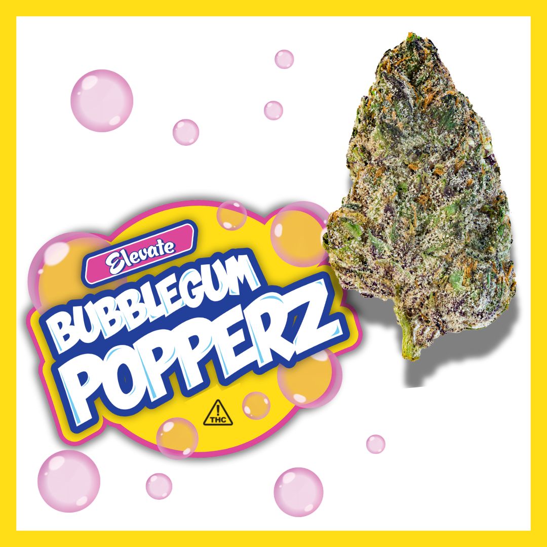 Bubblegum Popperz – Elevate LA